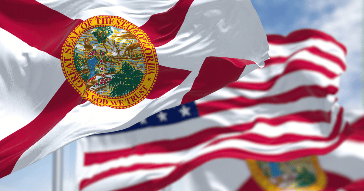 Florida DOR Tax Resolutions & Consequences of Back Taxes