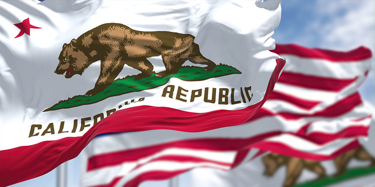 Complete Guide on Ways to Pay California State Taxes